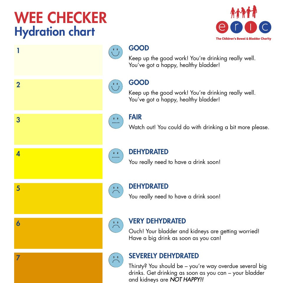 🚽 Sensory Kids Toileting Kit